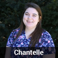 Team - Vet in Arlington | Arlington Animal Hospital